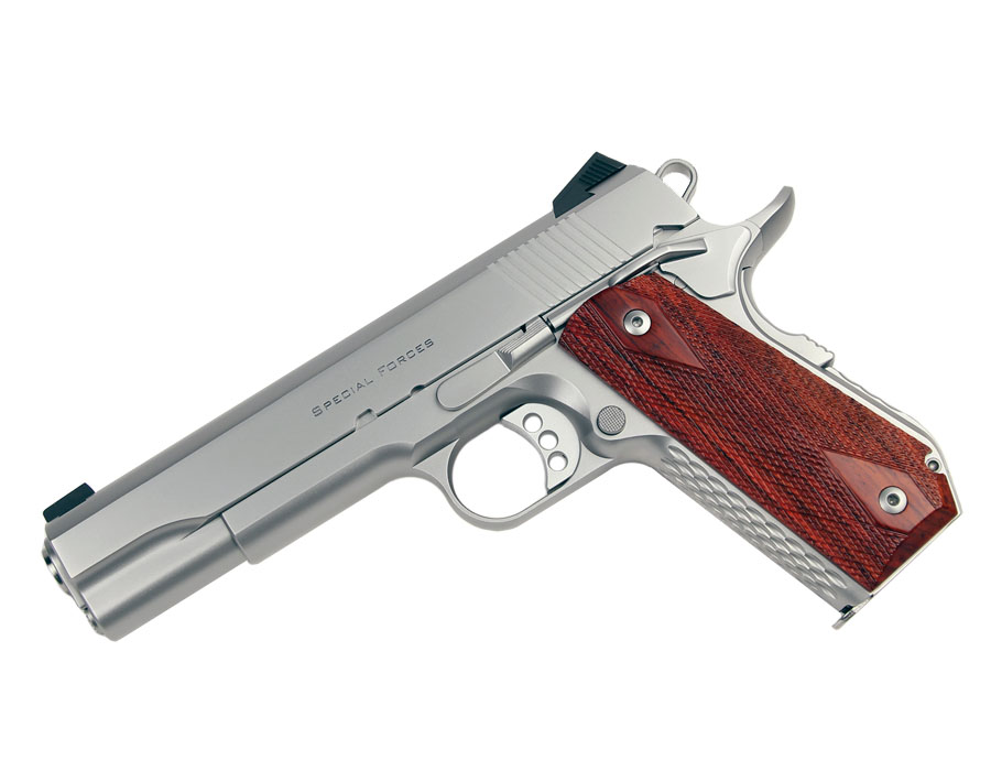 Ed Brown Special Forces, 5 inch, .45ACP, Stainless Steel, Night Sights ...